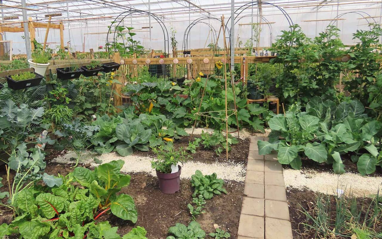 Richard Jakobs: ‘Roer omgooien voor het te laat is’ - Vakblad Onder Glas